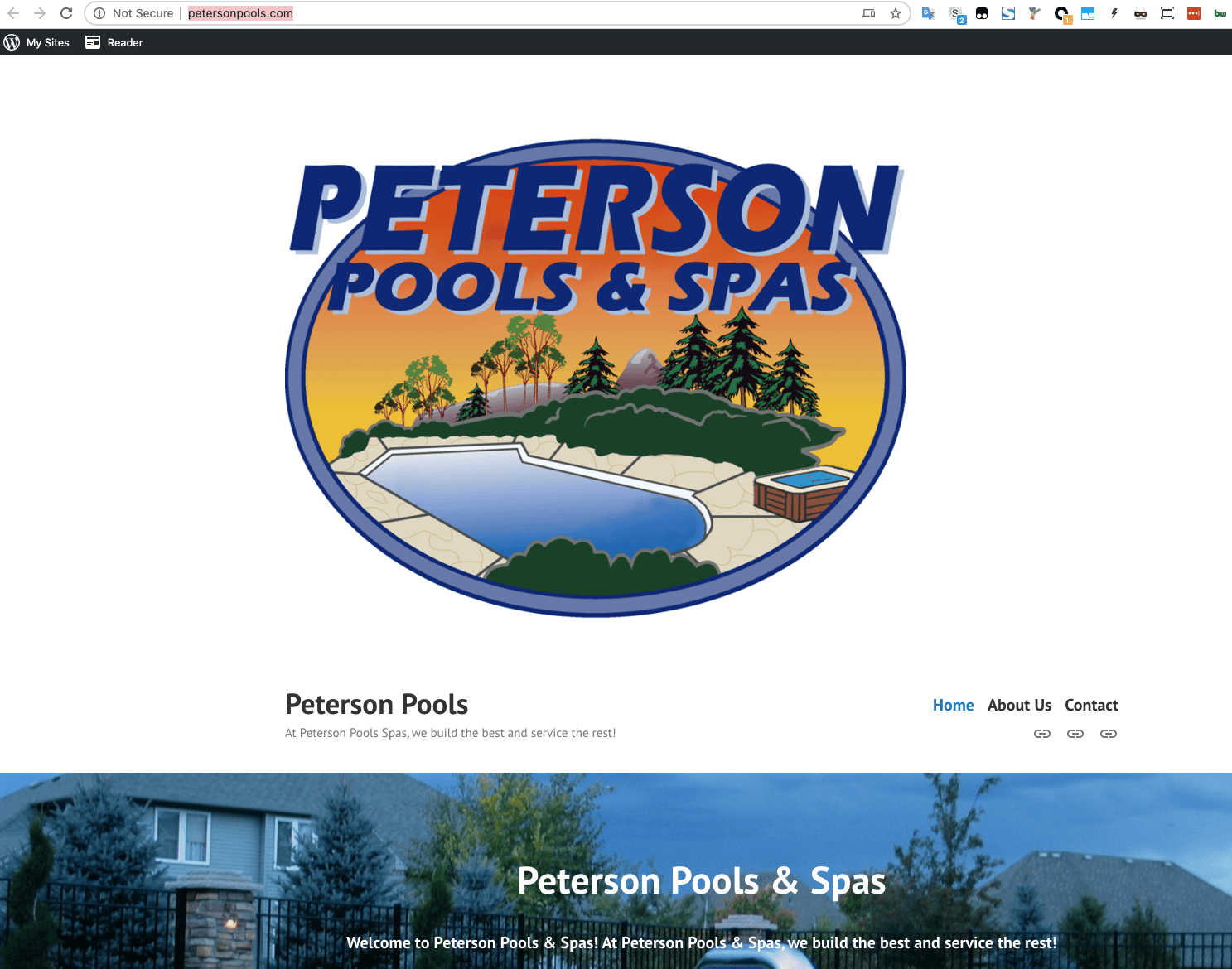 Screen Shot on 2020-06-24 at 11-26-20 – Peterson Pools